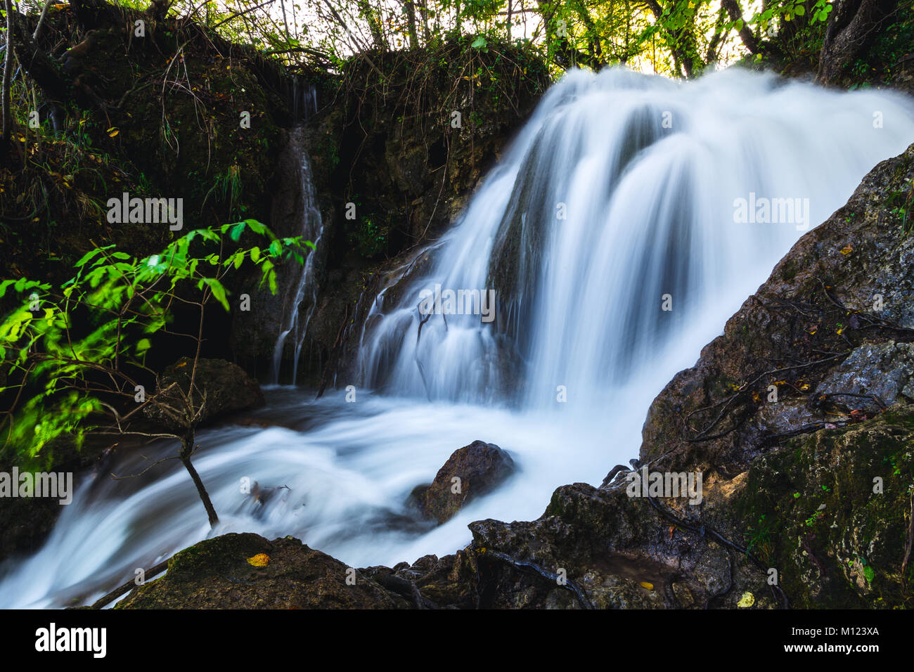 A white running stream in the forest of colorful autumn leaves trees in ...