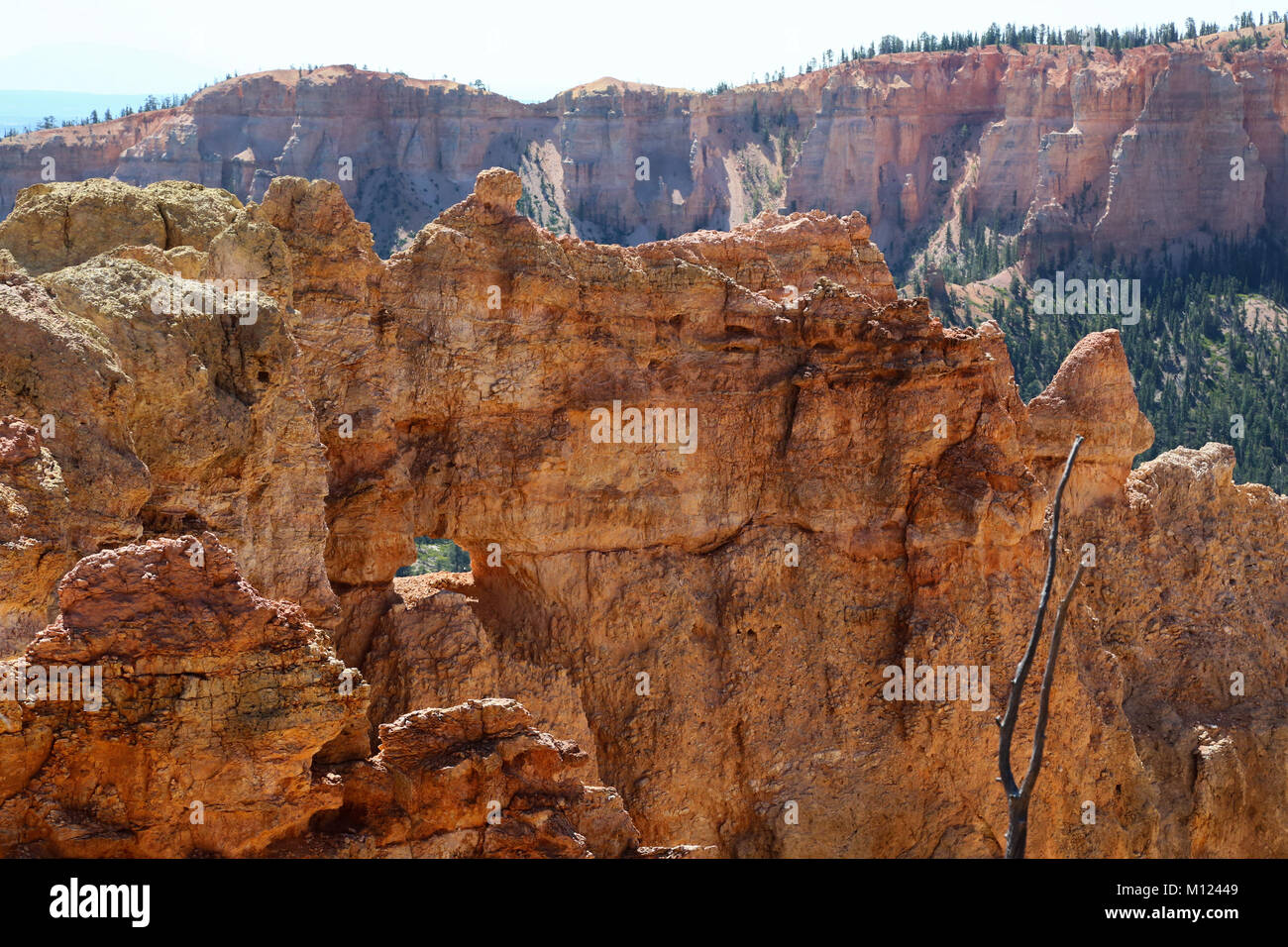 A view of a hole in a wall in Black Birch Canyon in Bryce National Park ...
