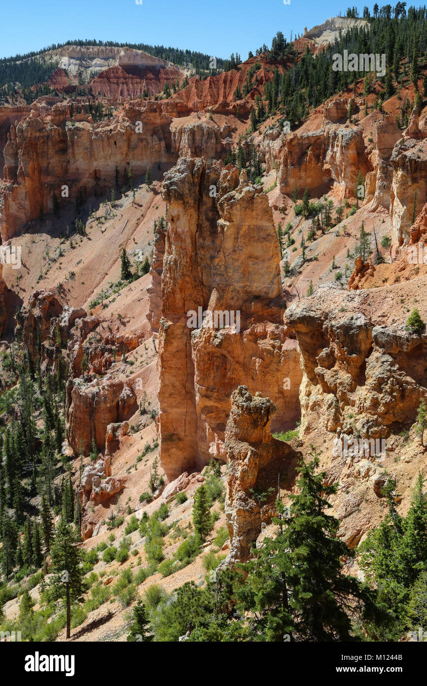 Black birch canyon hi-res stock photography and images - Alamy
