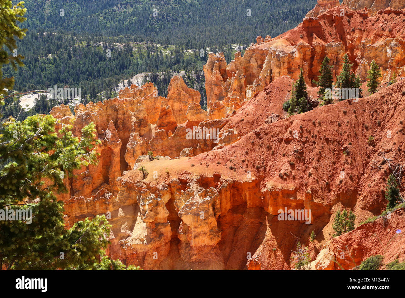 Ponderosa point hi-res stock photography and images - Alamy