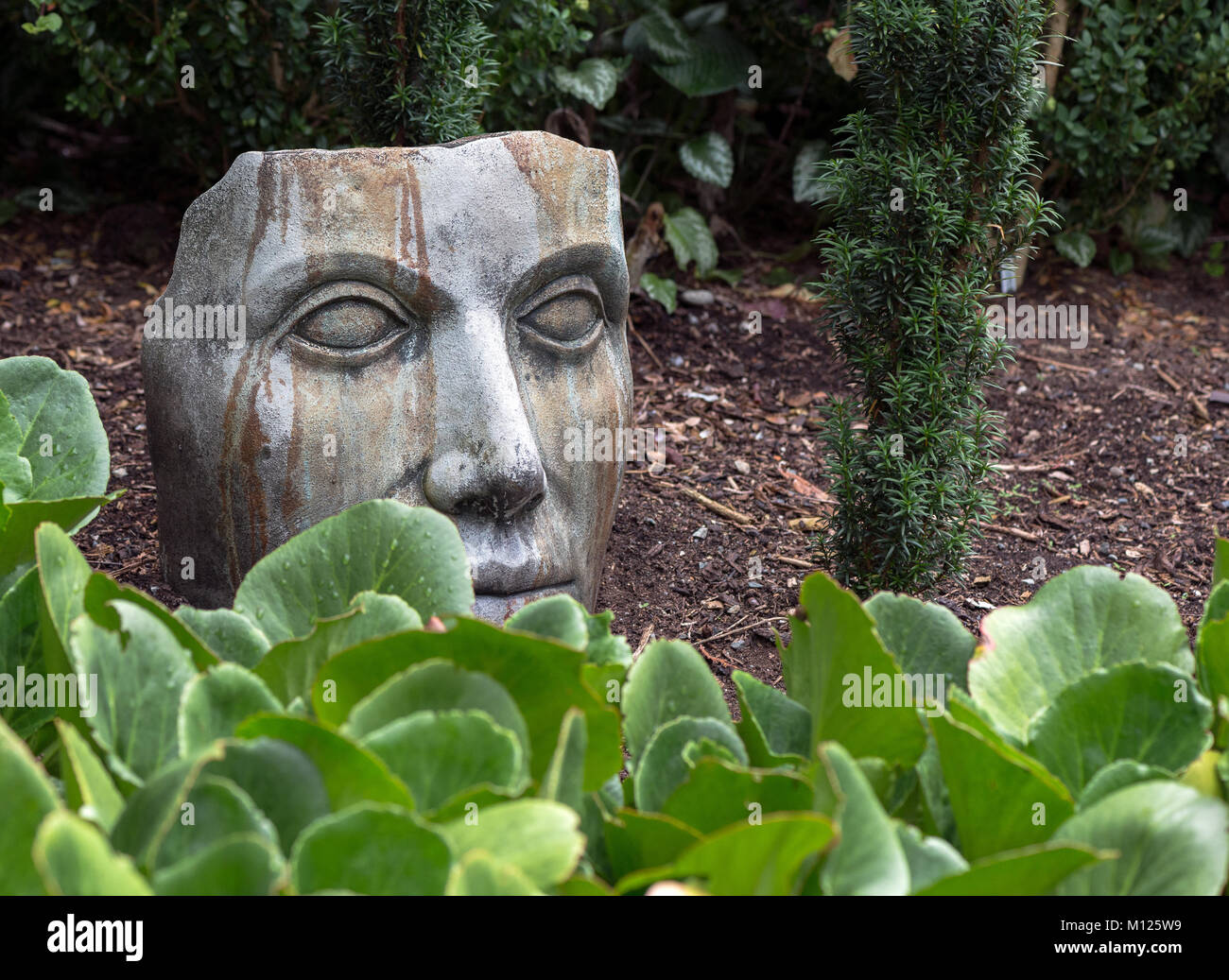 Concrete mask in a garden as garden art Stock Photo - Alamy