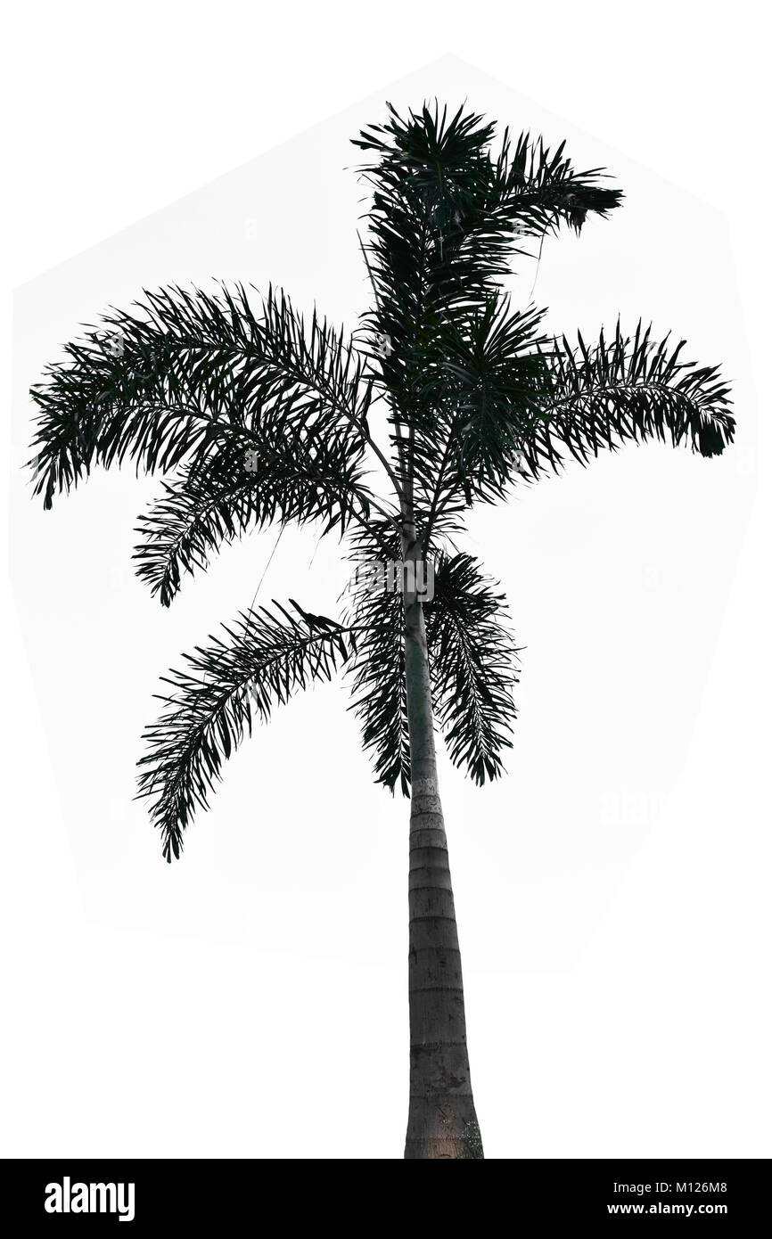 Wind in park Cut Out Stock Images & Pictures - Alamy