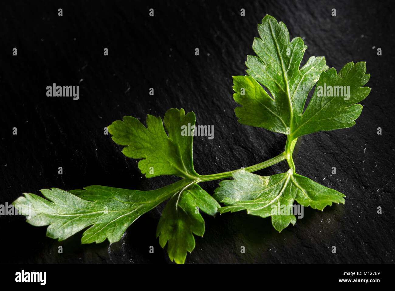 Close up of one parsley fresh leaf on slate Stock Photo - Alamy