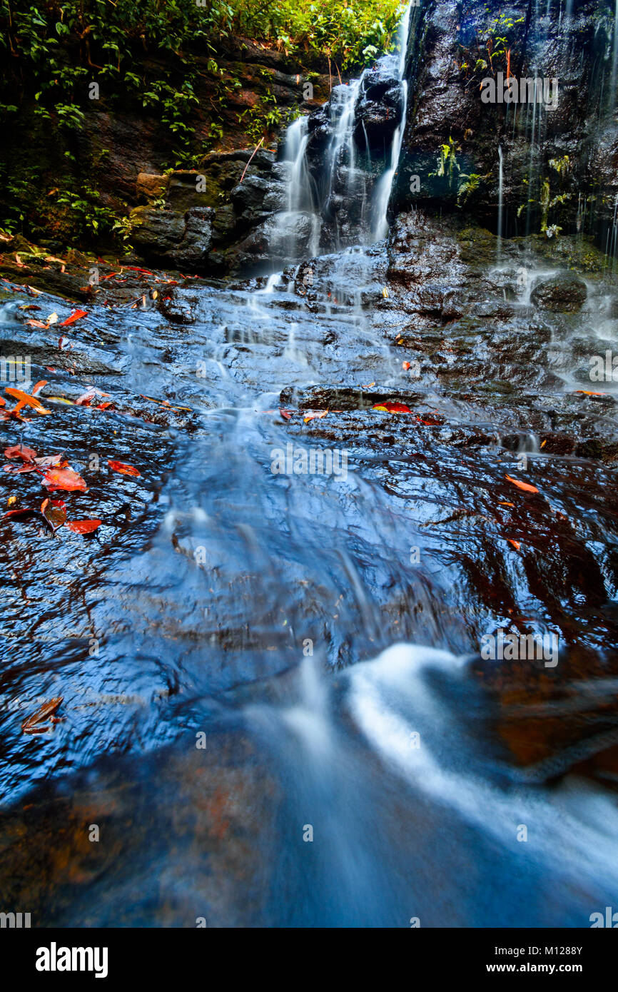 The Beautiful and Majestic Waterfall in Gavi , Kerala Stock Photo - Alamy