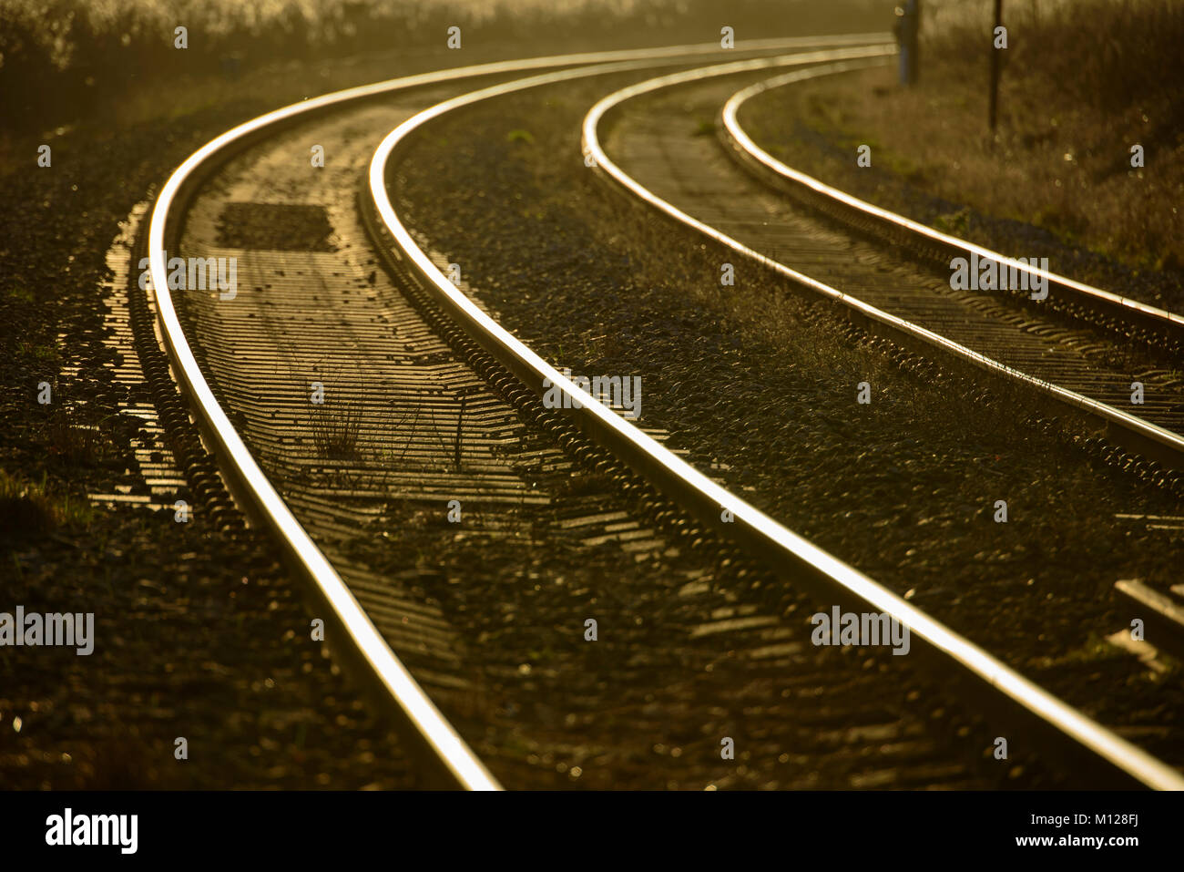 curved railway lines glinting in the evening golden sunshine Stock ...