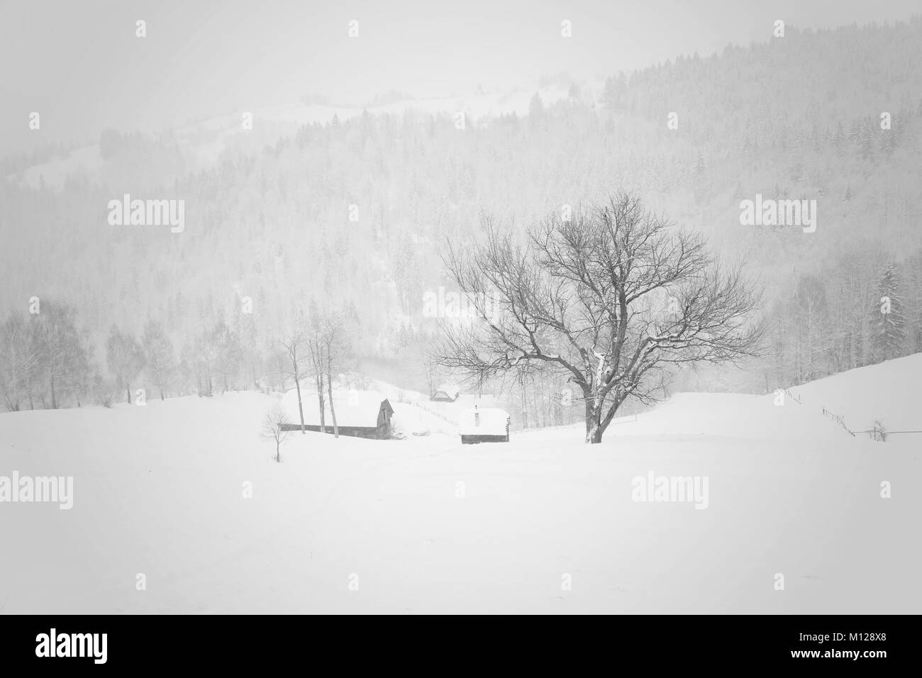 Winter landscape in Transylvania, Romania Stock Photo - Alamy