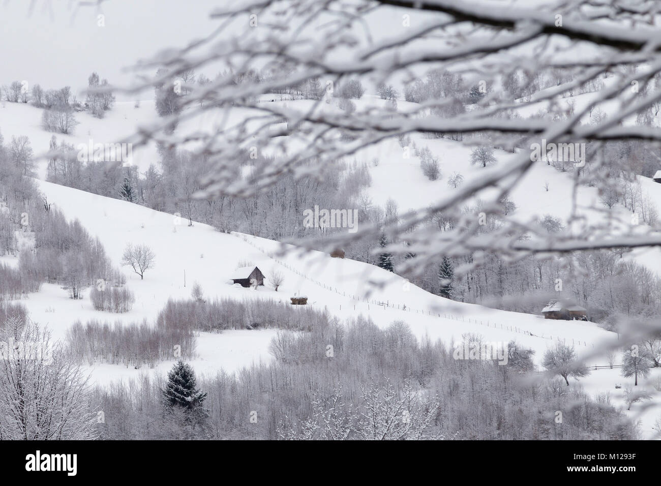 Winter landscape in Transylvania, Romania Stock Photo - Alamy
