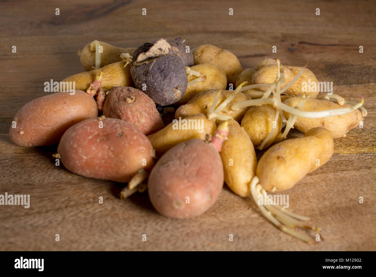 Old potatoes starting to germinate on wooden table Stock Photo - Alamy