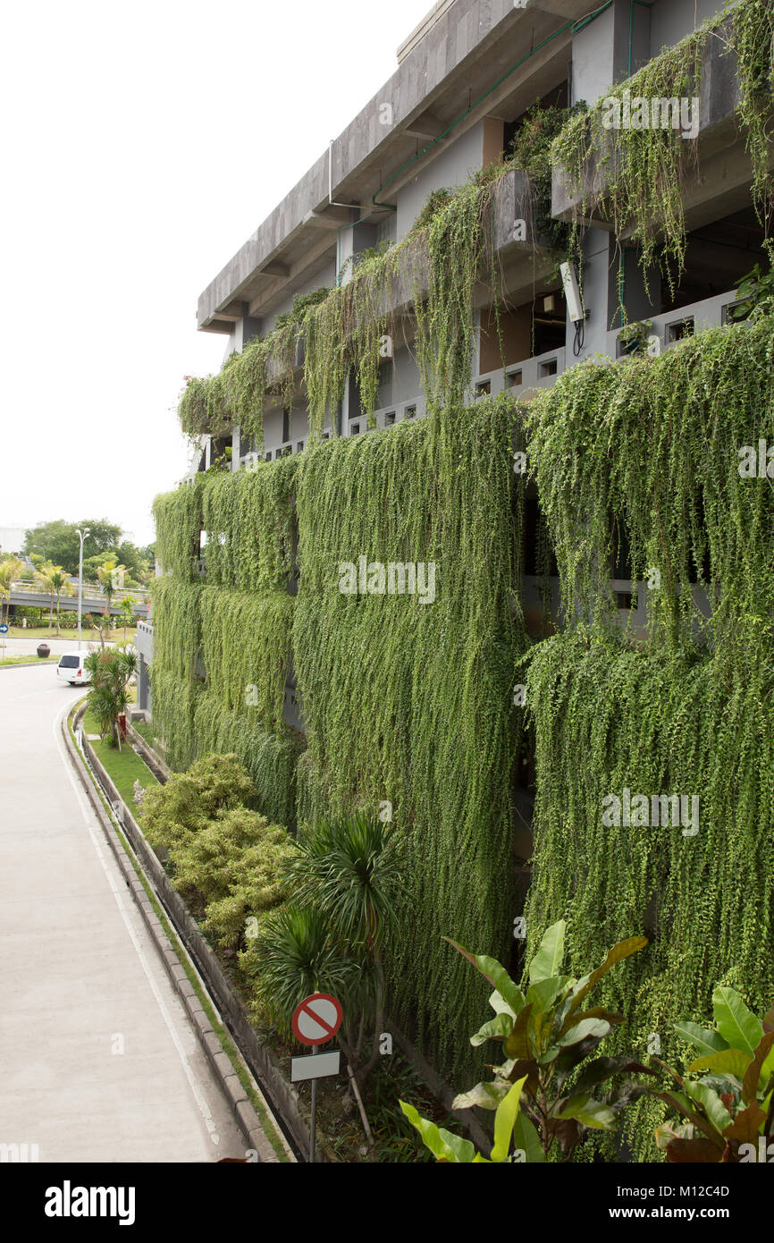 A portrait of decorative hanging garden on the more than one stories ...