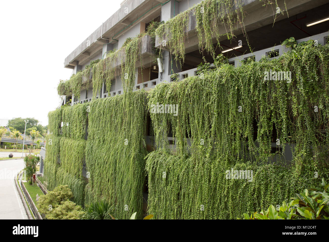 A portrait of decorative hanging garden on the more than one stories ...