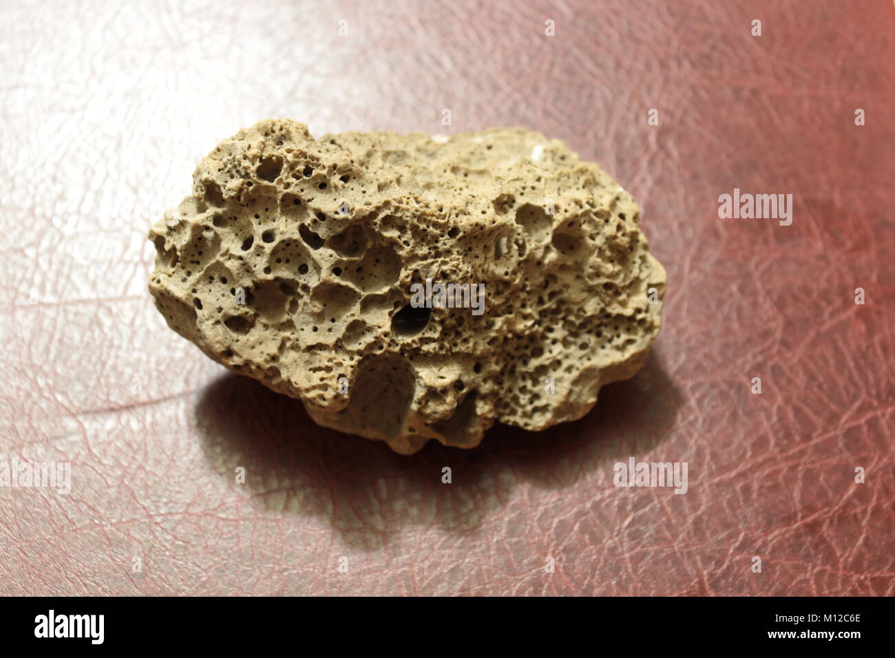 Porous rock hi-res stock photography and images - Alamy