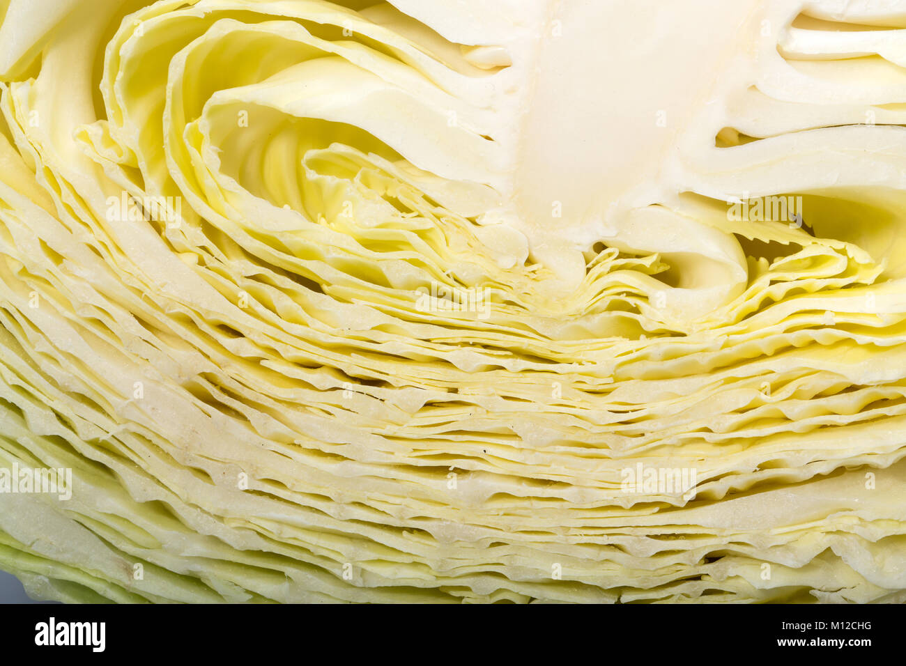 white cabbage, texture of cut white cabbage showing inside curly ...
