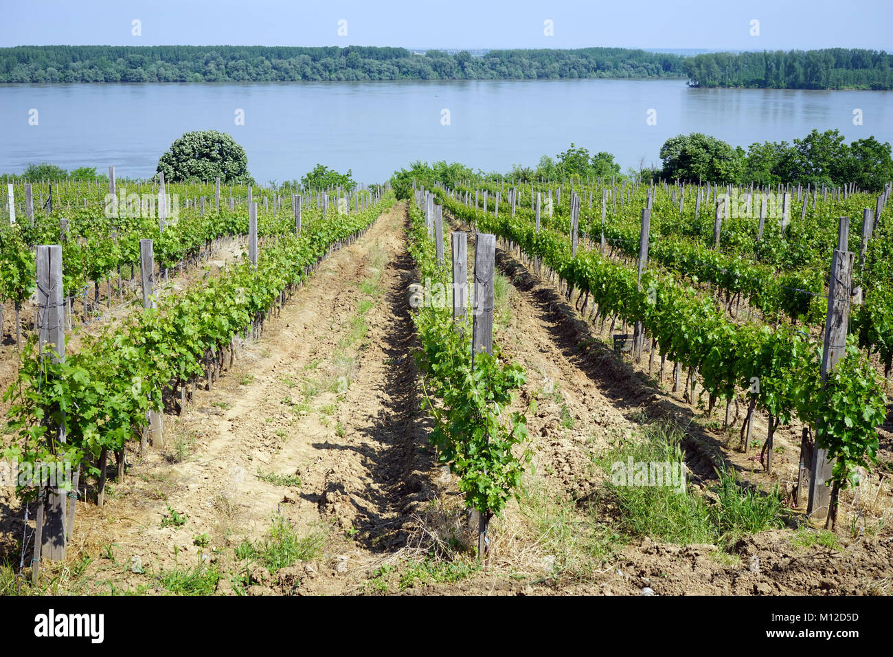 Dunav river hi-res stock photography and images - Alamy