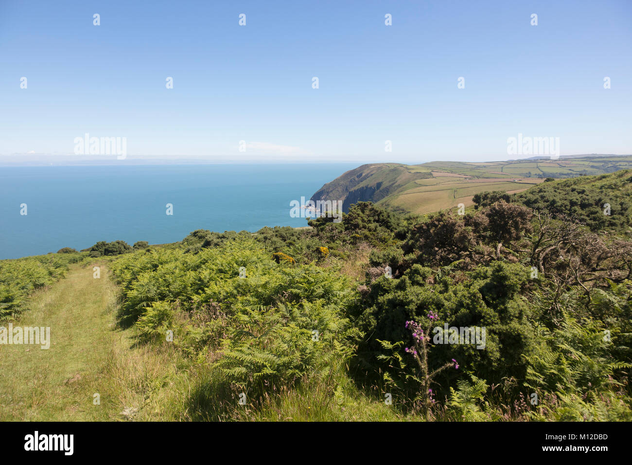 Rugged coast of North Devon England Stock Photo - Alamy