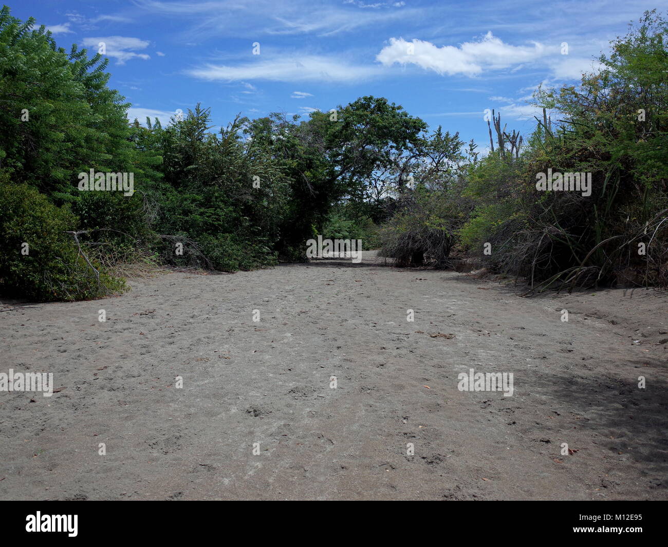 The Lunar landscape of Los Hoyos, the Grey Desert, part of Colombia's ...