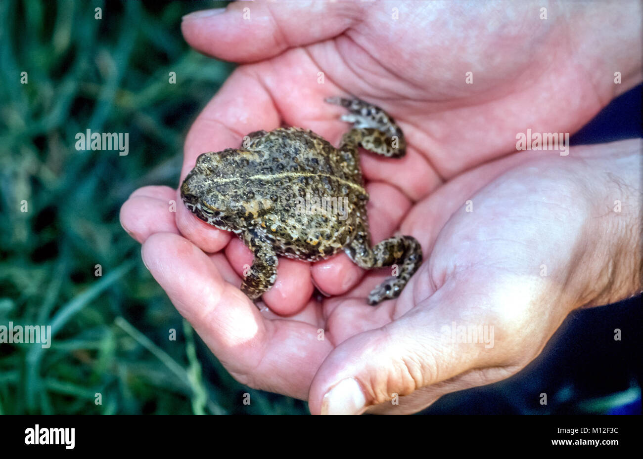 Someones hand hi-res stock photography and images - Alamy