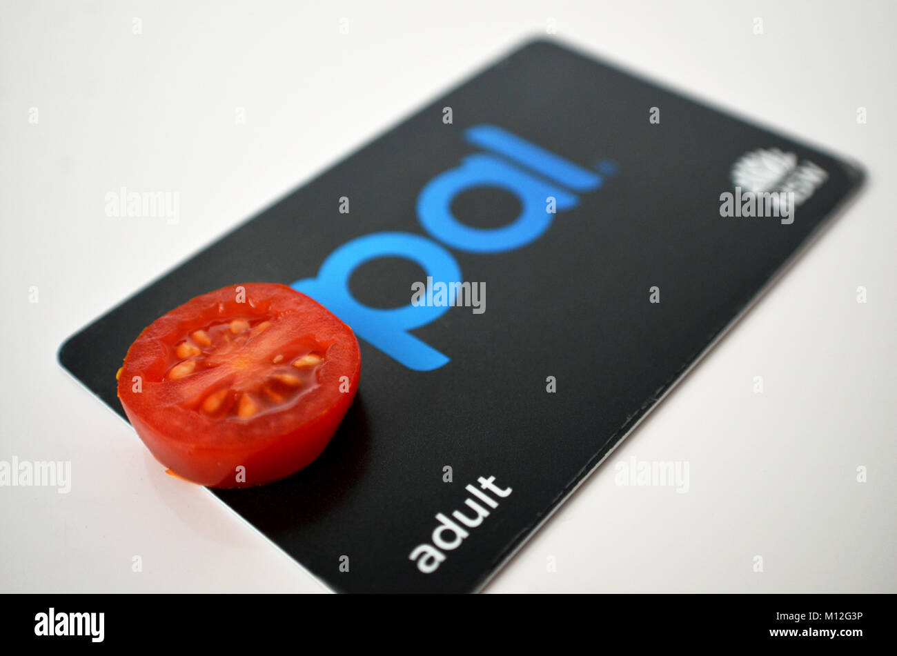Opal card for public transport in NSW Australia. Shown with tomato ...
