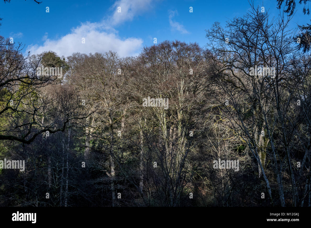 Ardingly wakehurst hi-res stock photography and images - Alamy