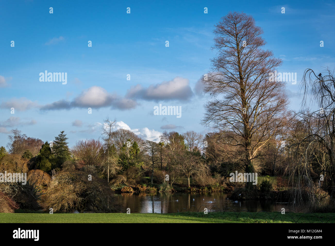 Wakehurst place gardens hi-res stock photography and images - Alamy