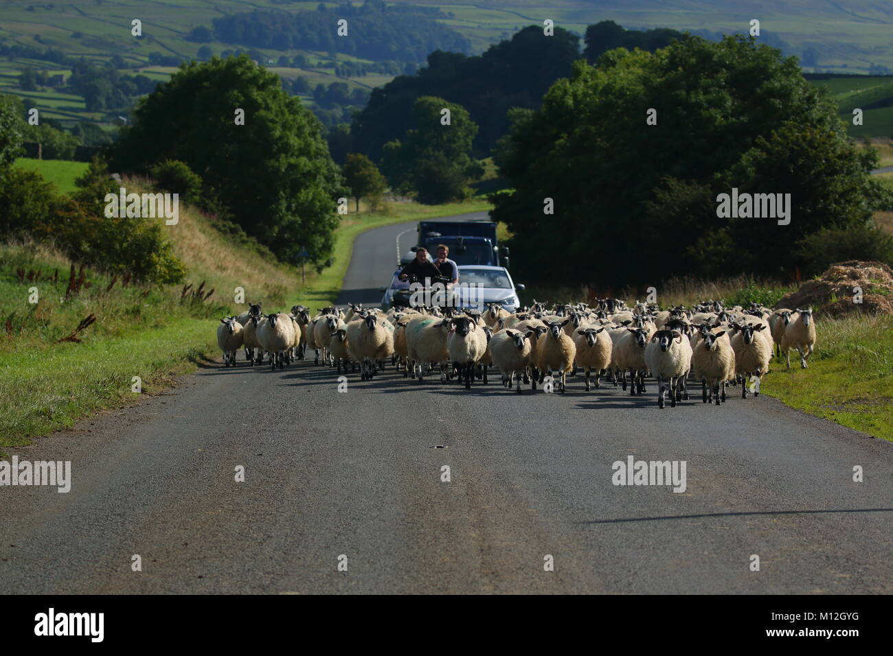 Blocking rural road hi-res stock photography and images - Alamy
