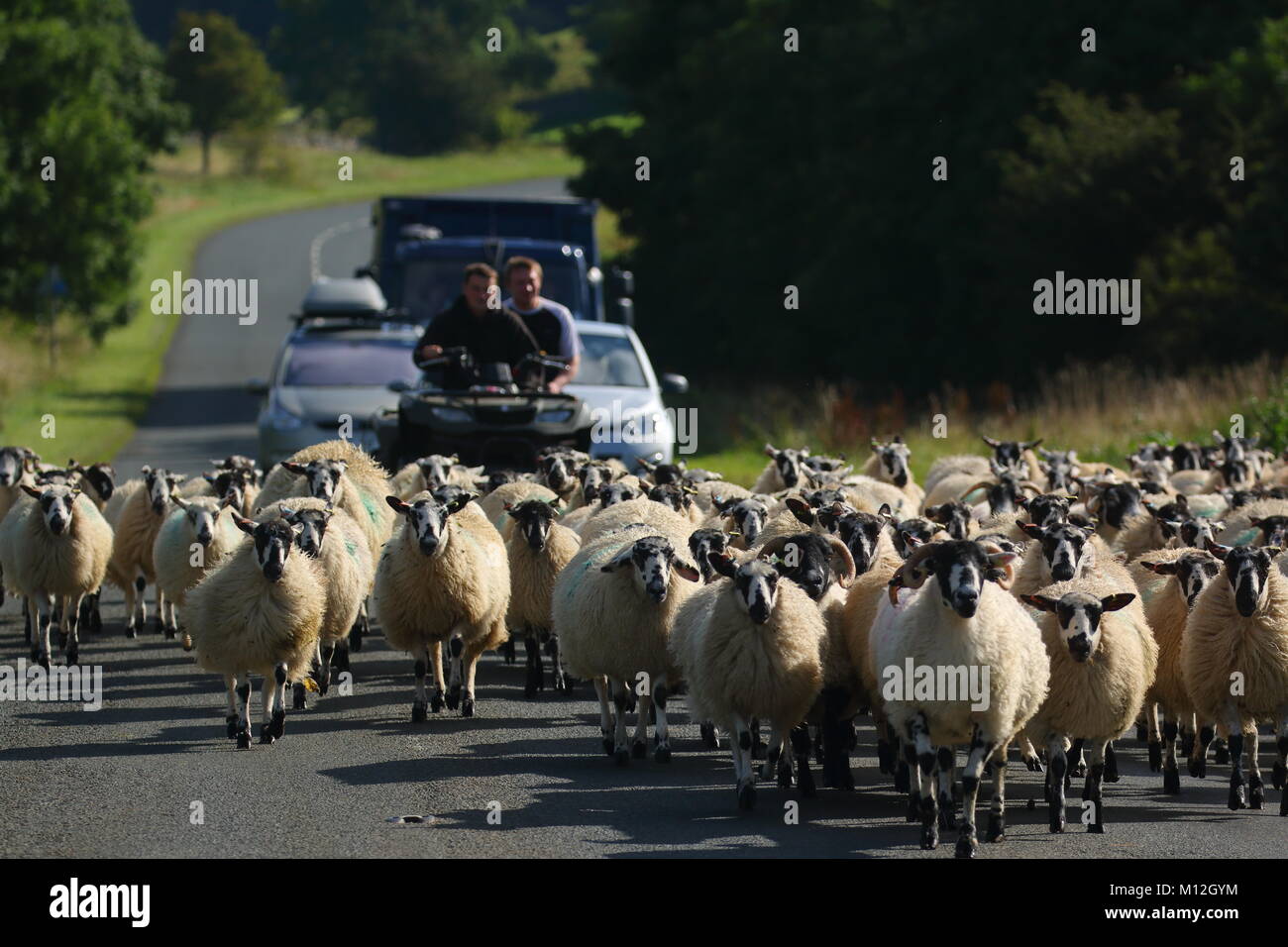 Blocking rural road hi-res stock photography and images - Alamy