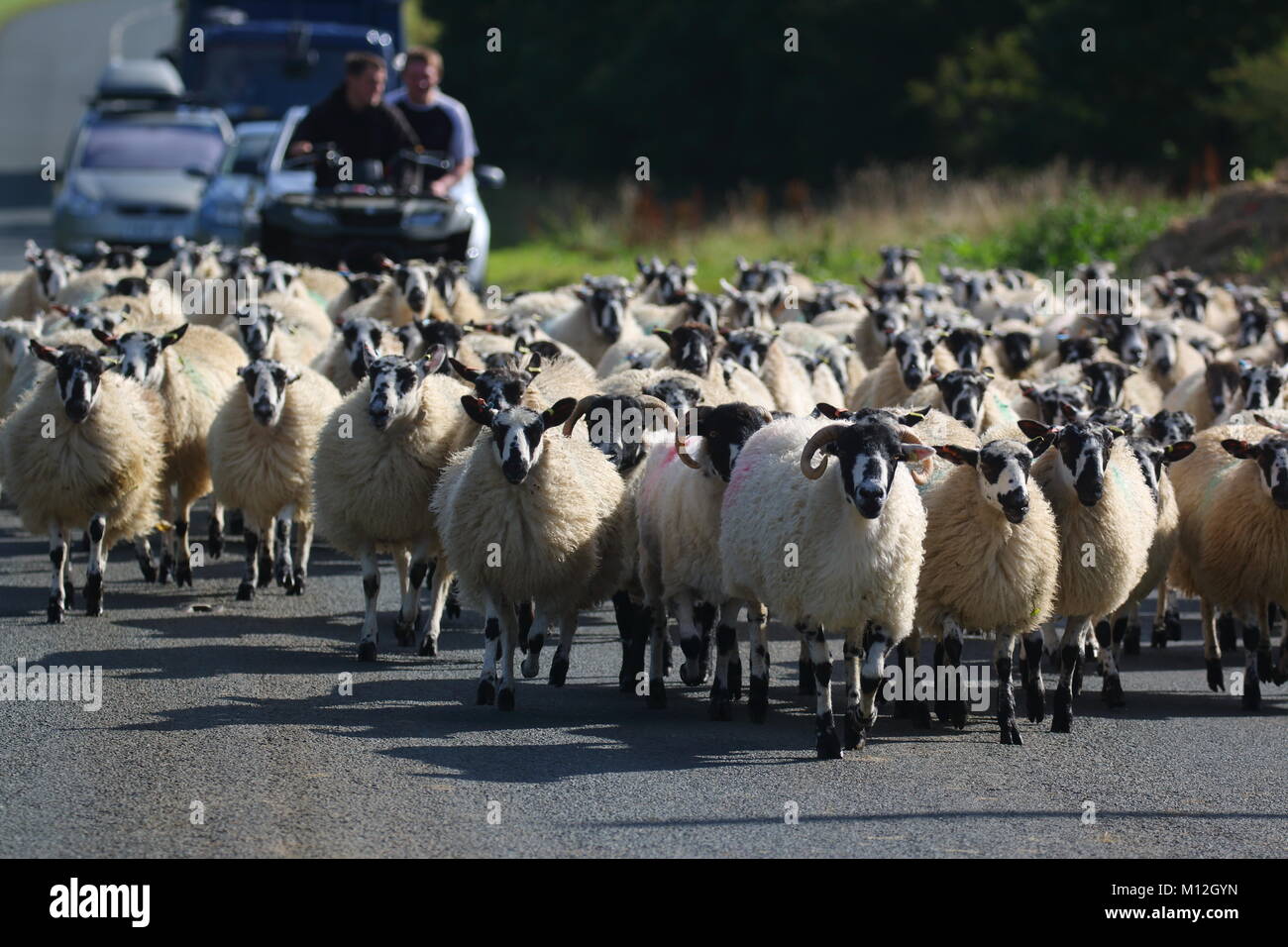 Blocking rural road hi-res stock photography and images - Alamy