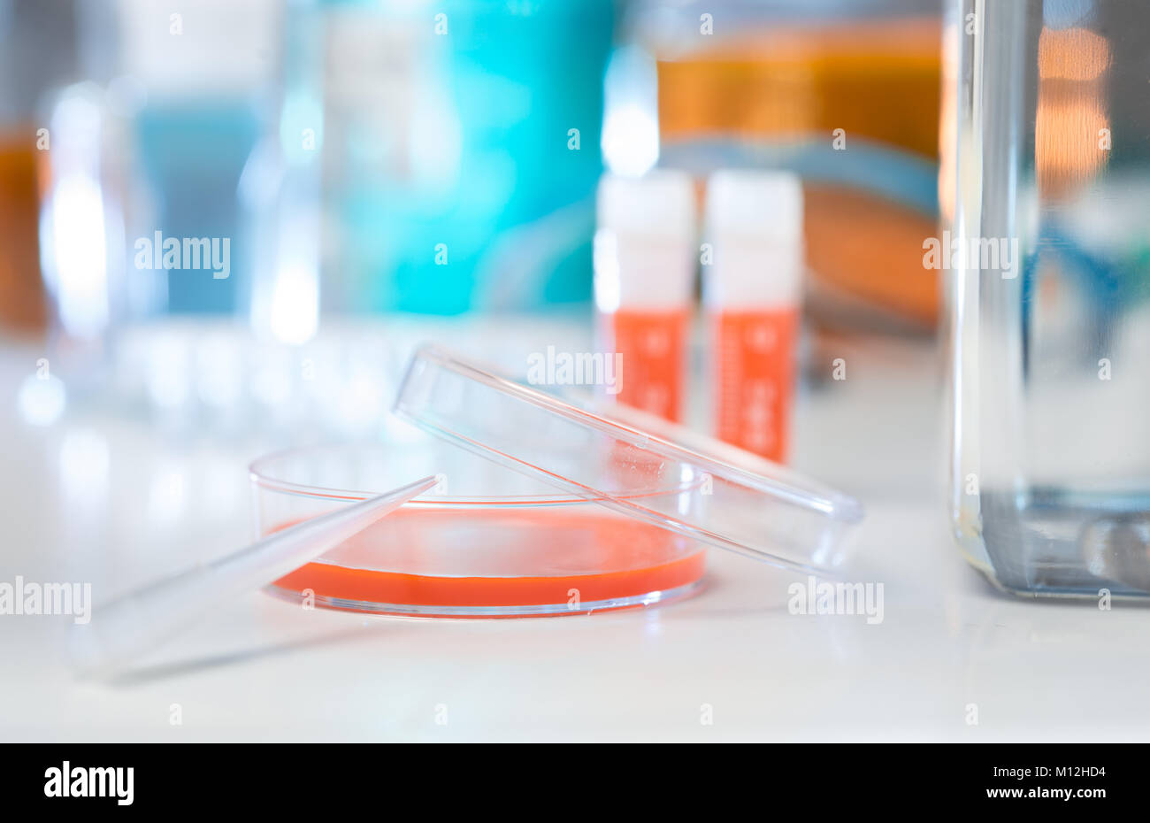 Cell culture flask hi-res stock photography and images - Alamy