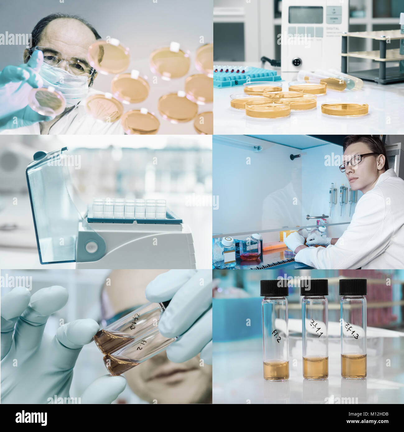 Microbiologists work in modern laboratory with cultured cells and ...
