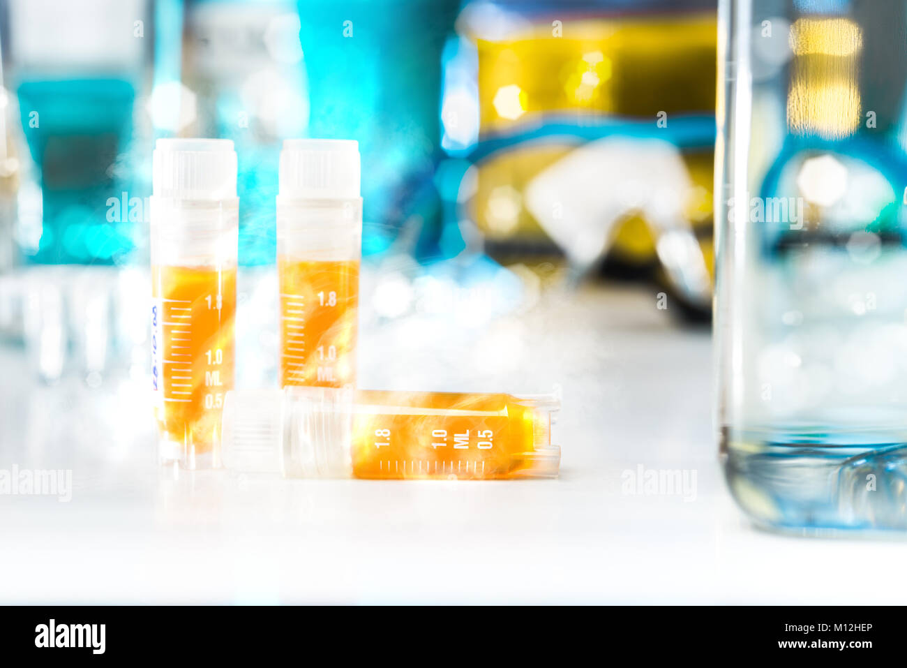 Cryosamples for long-term storage of genetically modified bacteria ...