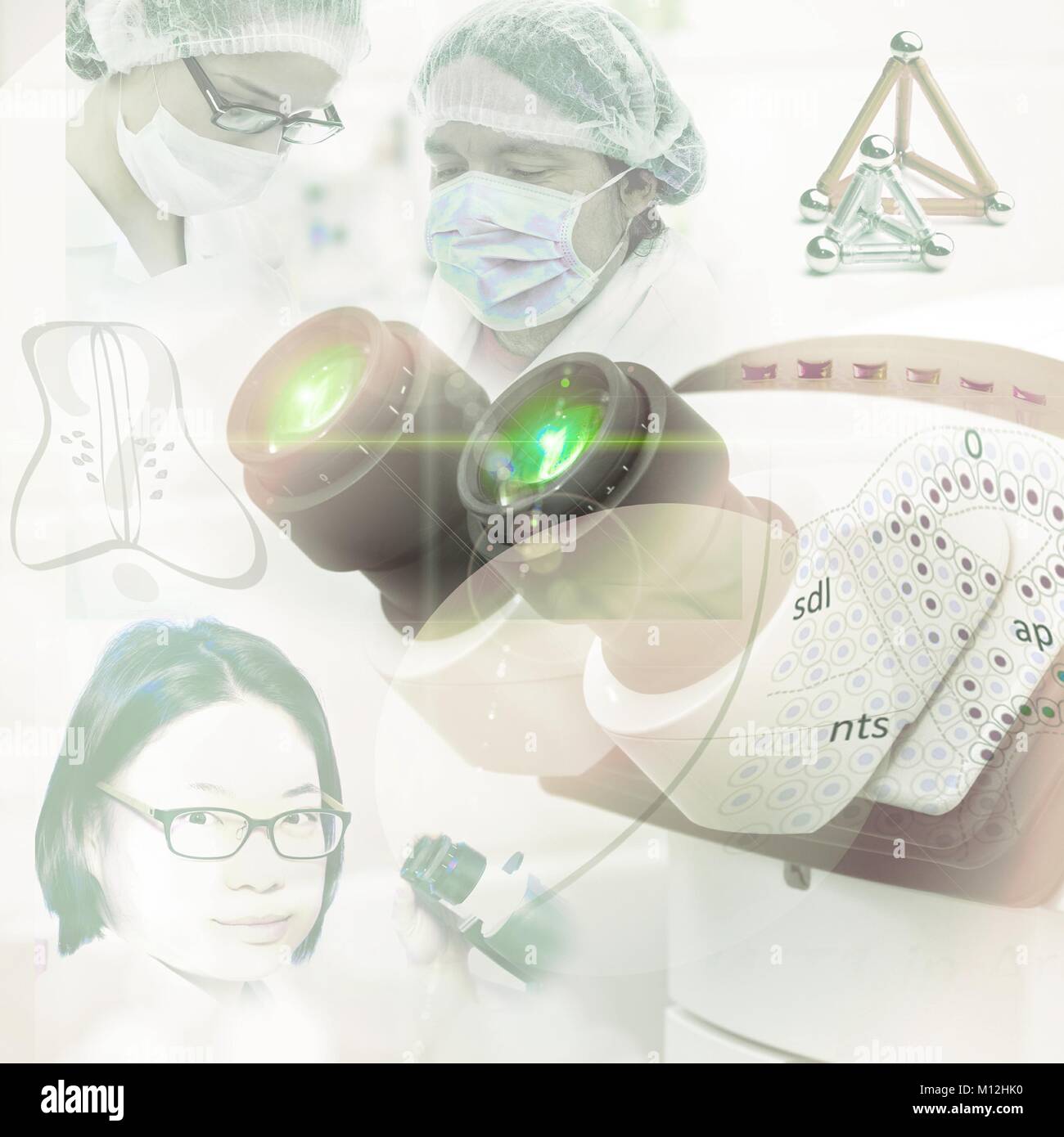 Microscope in research laboratory, collage Stock Photo - Alamy