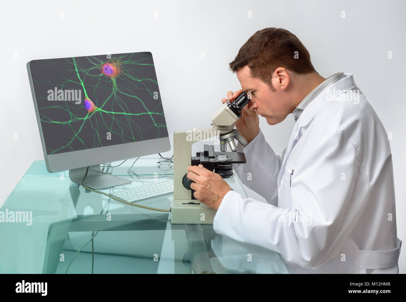 Neuron microscope hi-res stock photography and images - Alamy