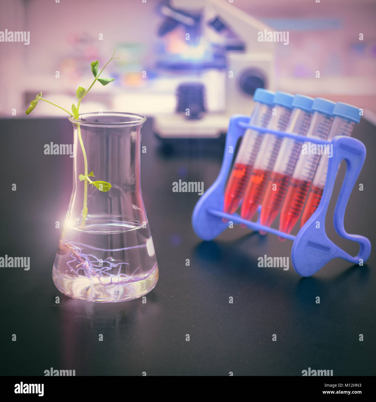 Experimental plant in a flask with research facility out of focus ...