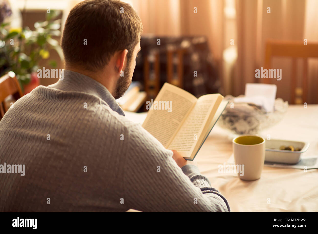 Man reading a book at his home Stock Photo - Alamy