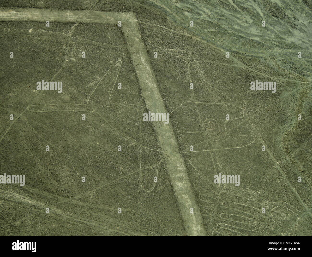 Aerial view nazca lines whale hi-res stock photography and images - Alamy