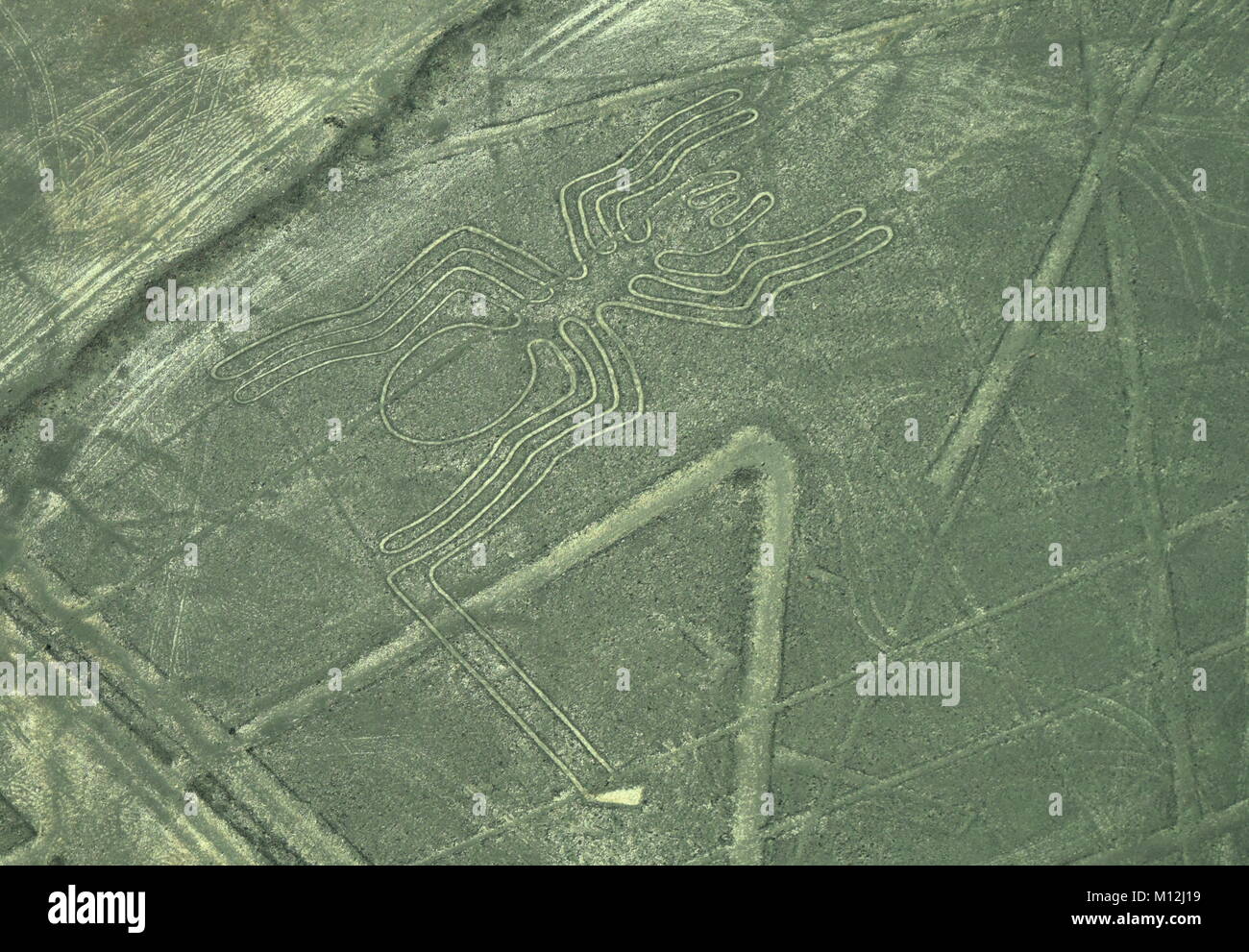 The Nazca Lines in Peru, here you can see the Spider Stock Photo - Alamy