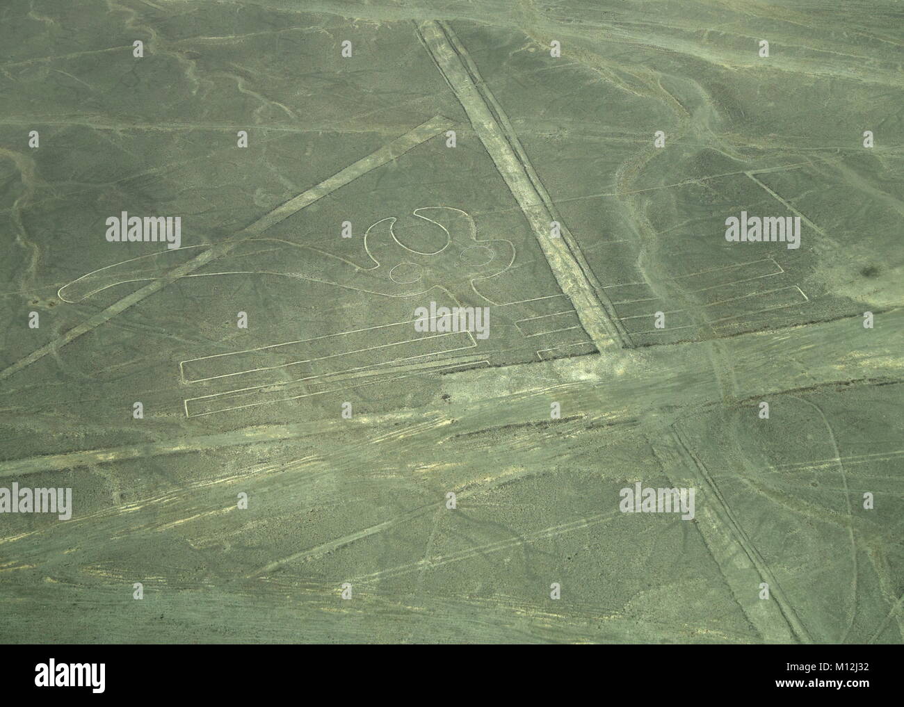 The parrot nazca lines peru hi-res stock photography and images - Alamy