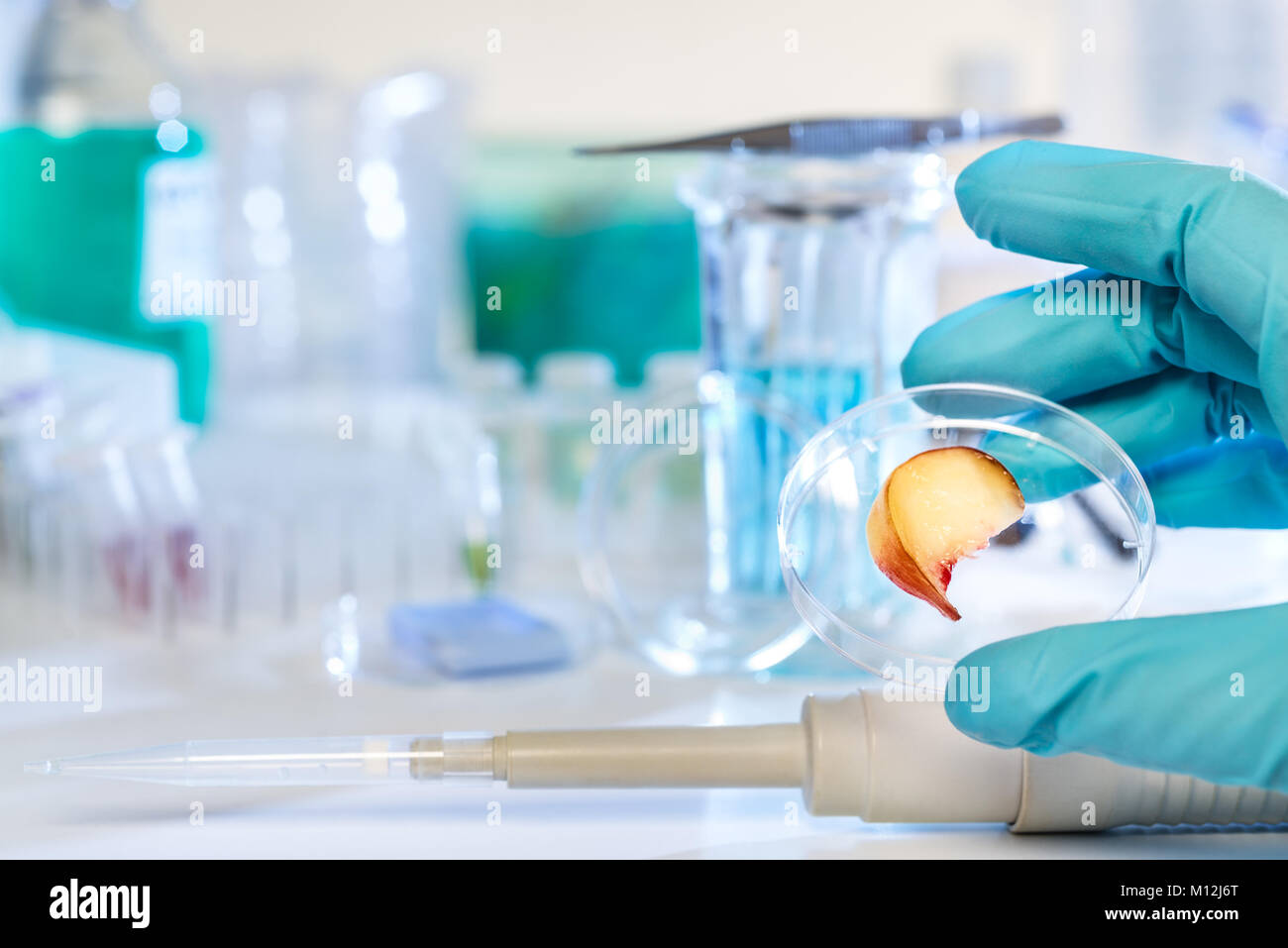 Testing fruits for contamination with pesticides in laboratory Stock ...