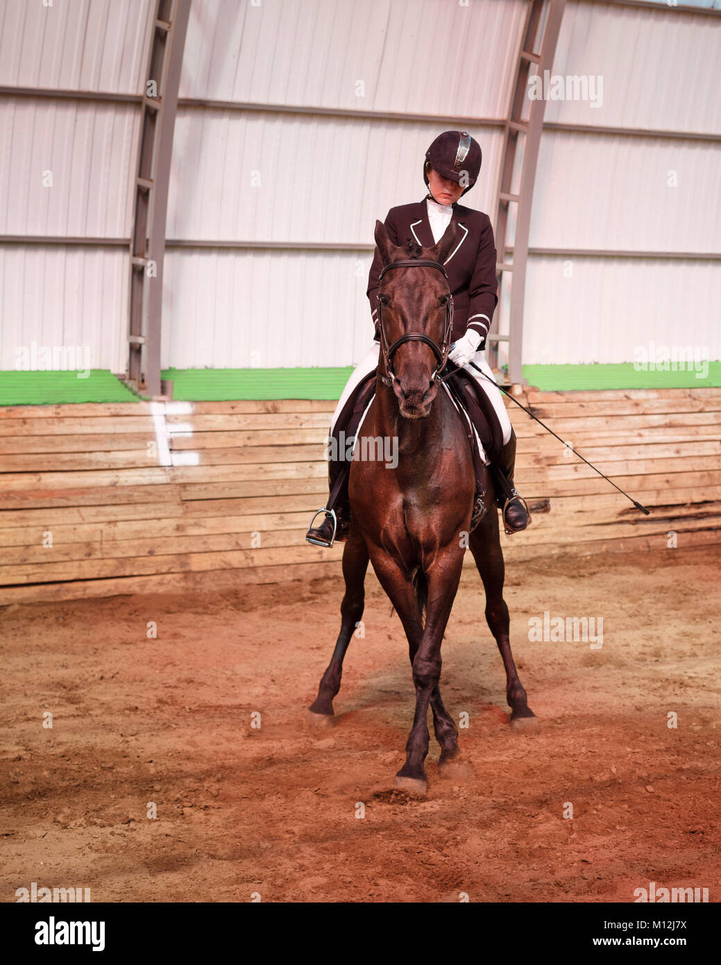 A sweet girl jockey rides a horse in a covered arena. Workout ...