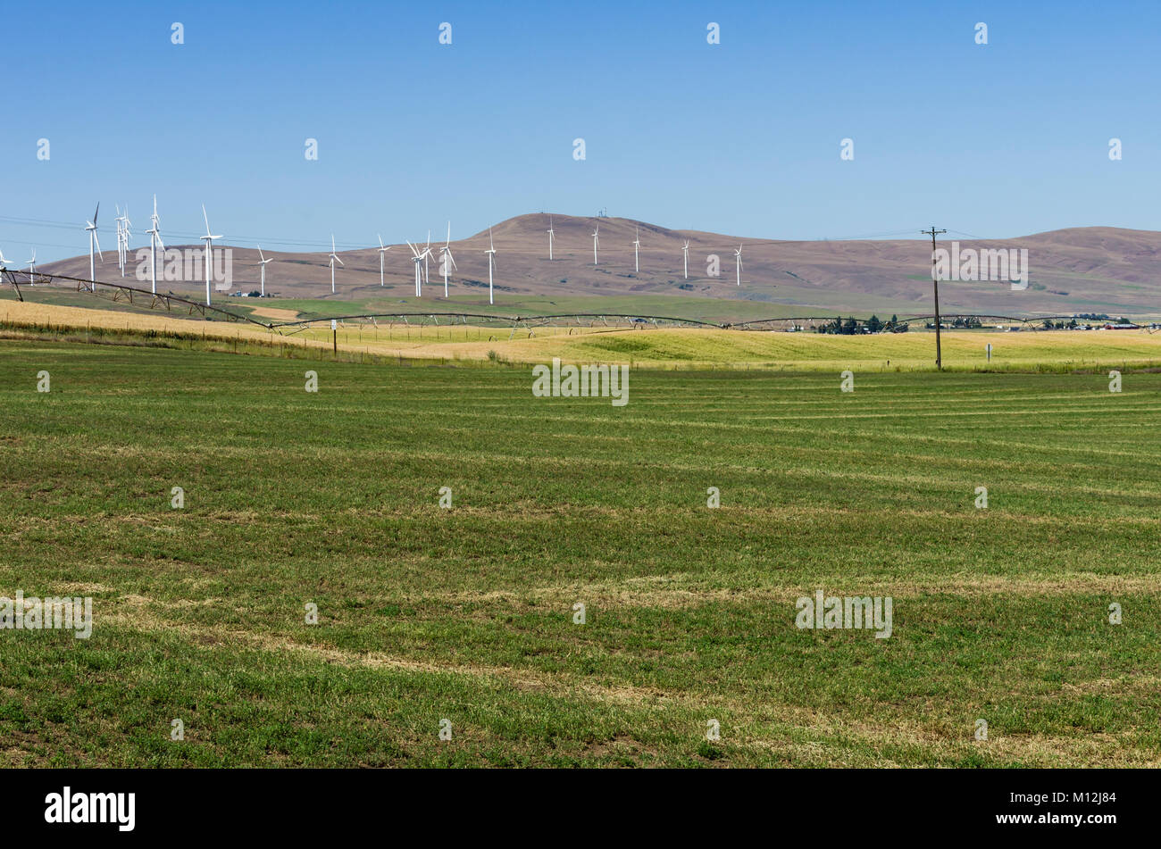 Turbines in a rural wind farm coexist with regular agriculture work ...