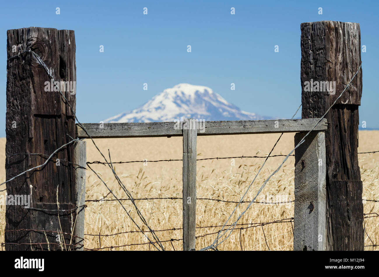 Old fence posts barbed wire hi-res stock photography and images - Alamy