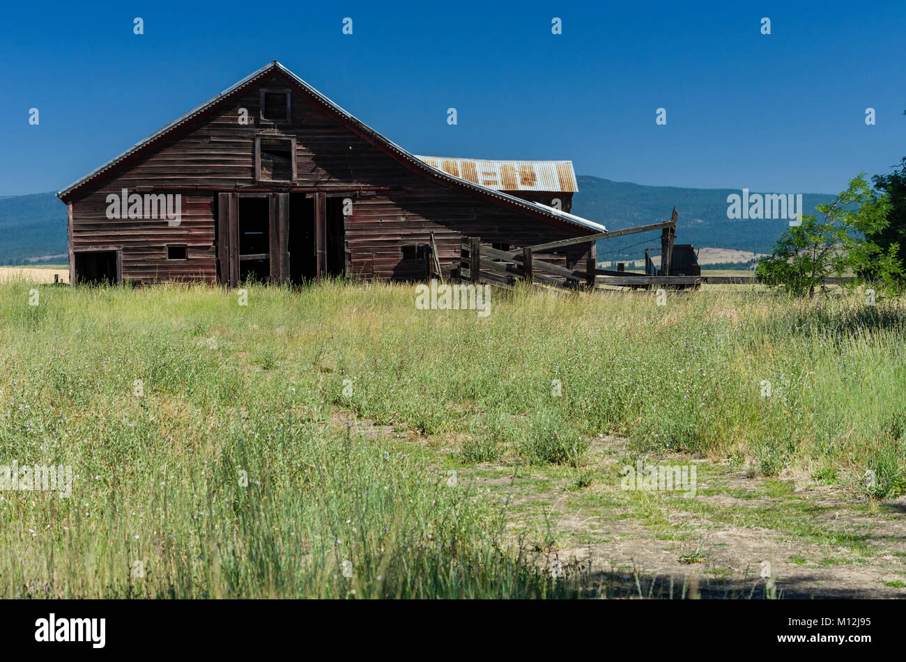 Abandoned barn on a rural farm in eastern Washington, USA Stock Photo ...