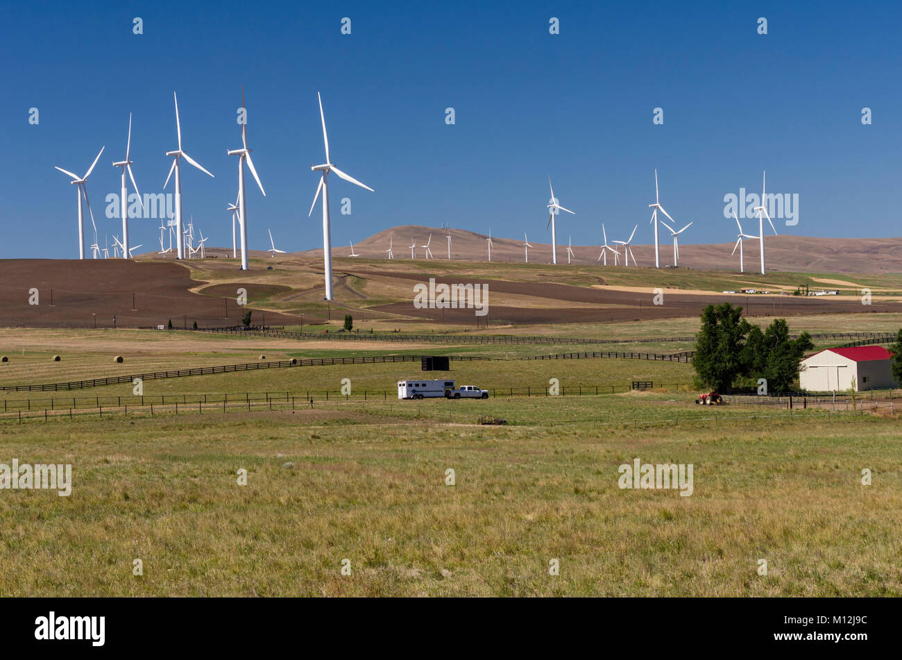 Windy Flats wind farm near Goldendale, Washington, USA Stock Photo - Alamy