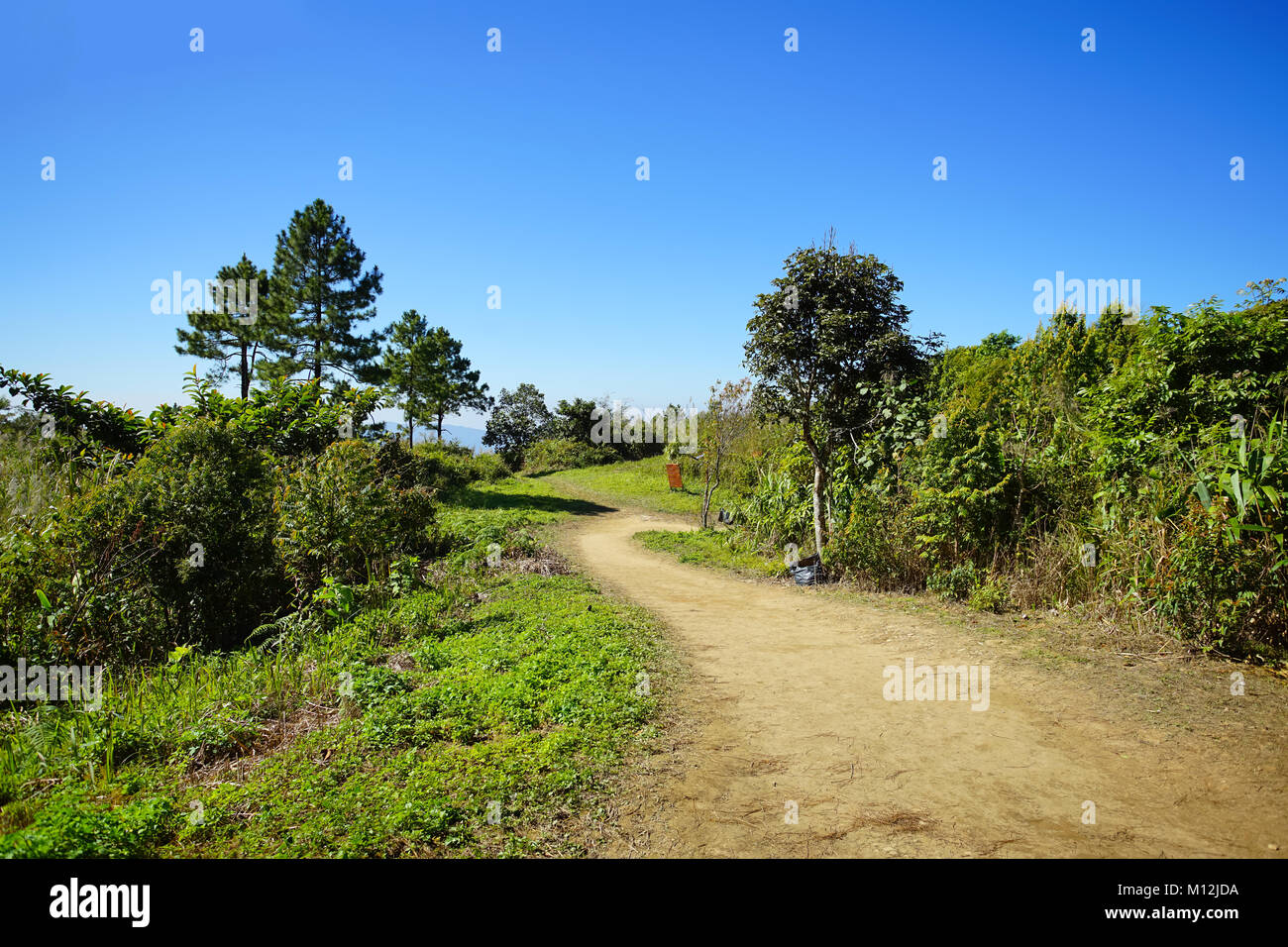 Long path to go to Phu Chee Fa, Chiang Rai, Thailand Stock Photo - Alamy
