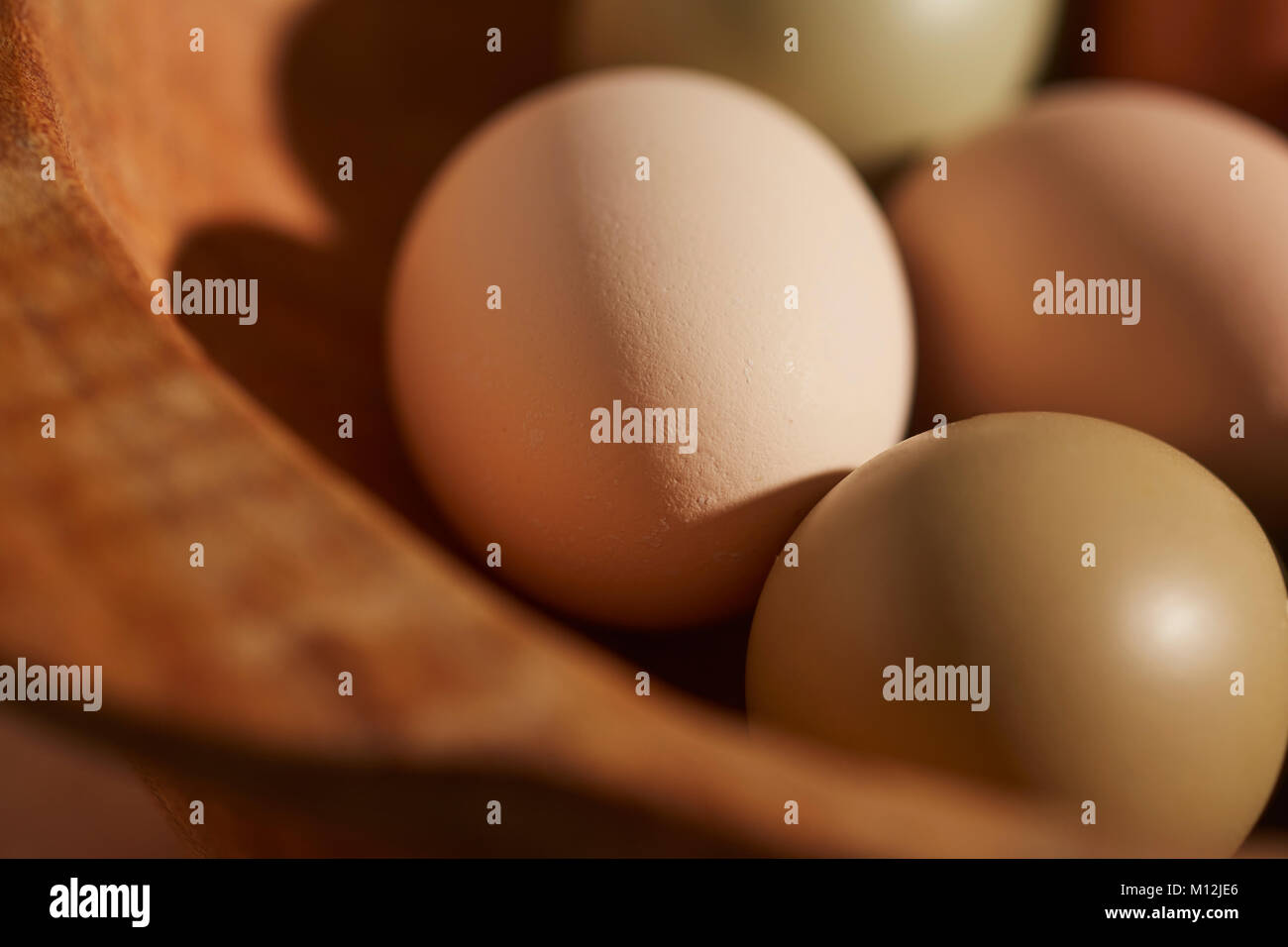 Heirloom green eggs hi-res stock photography and images - Alamy