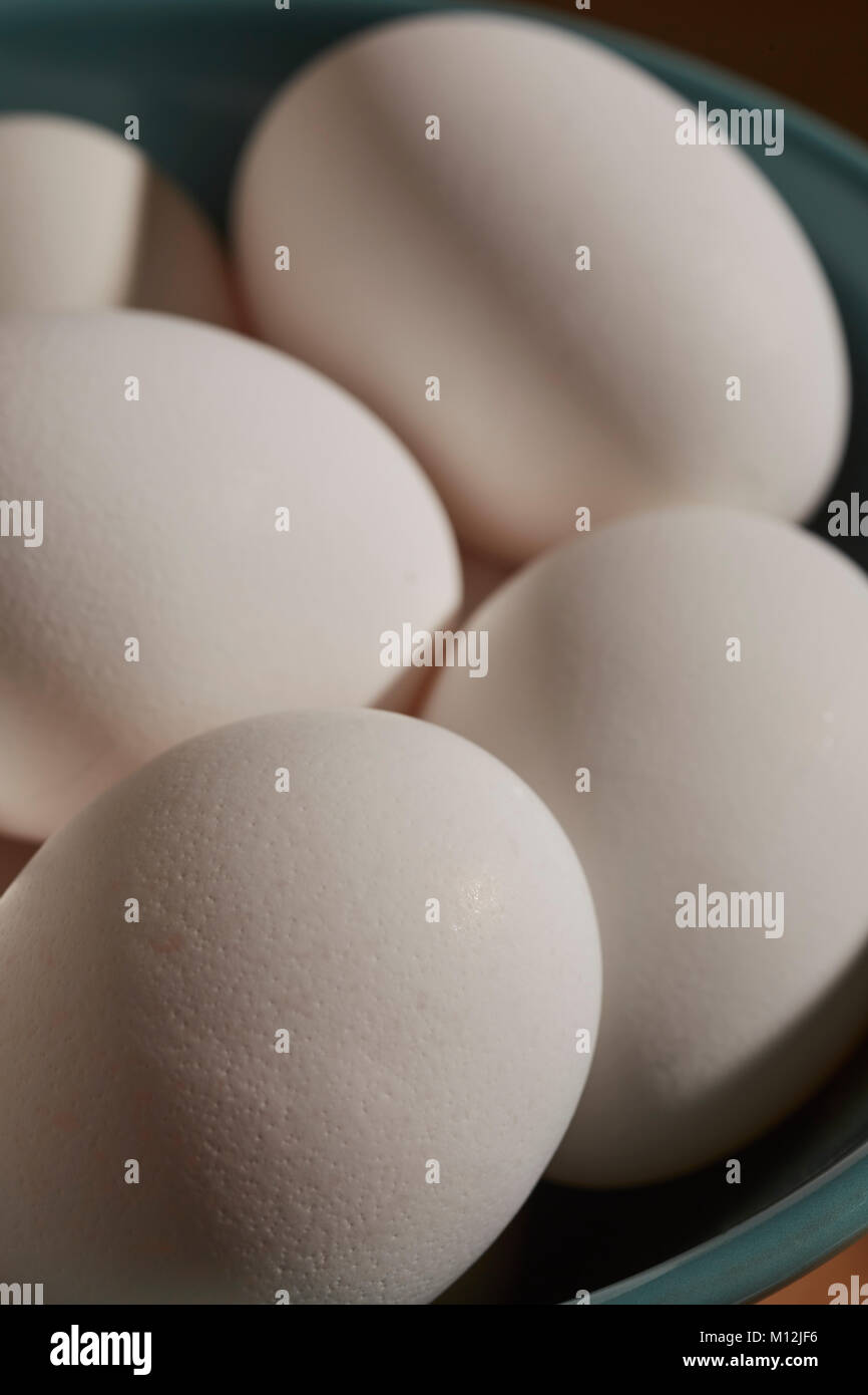 White shells hi-res stock photography and images - Alamy