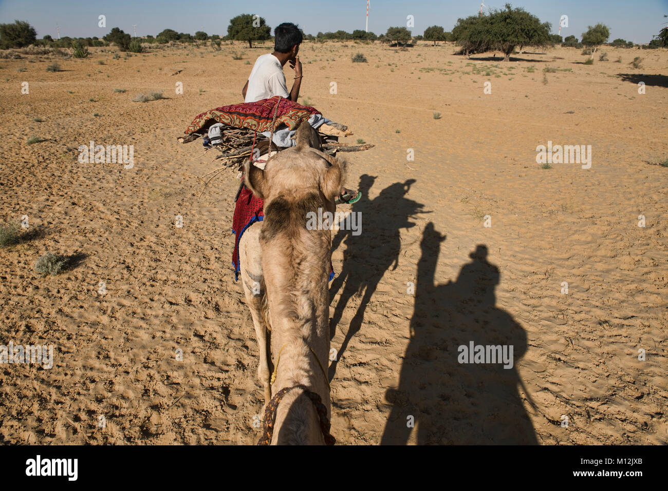 Thar desert animals hi-res stock photography and images - Alamy