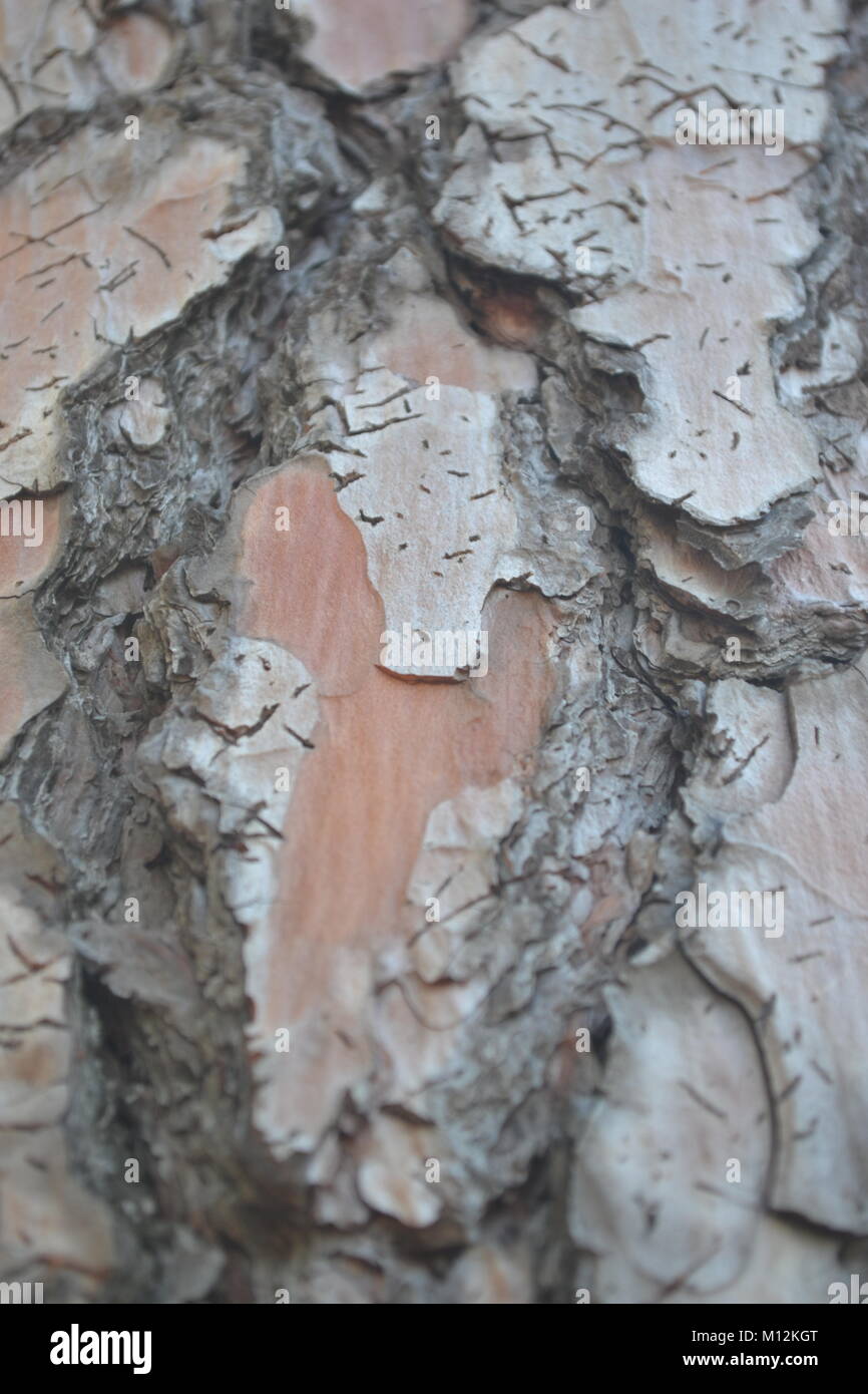 Austraila hi-res stock photography and images - Alamy