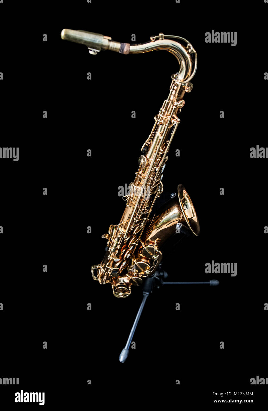 Vertical full view hi-res stock photography and images - Alamy