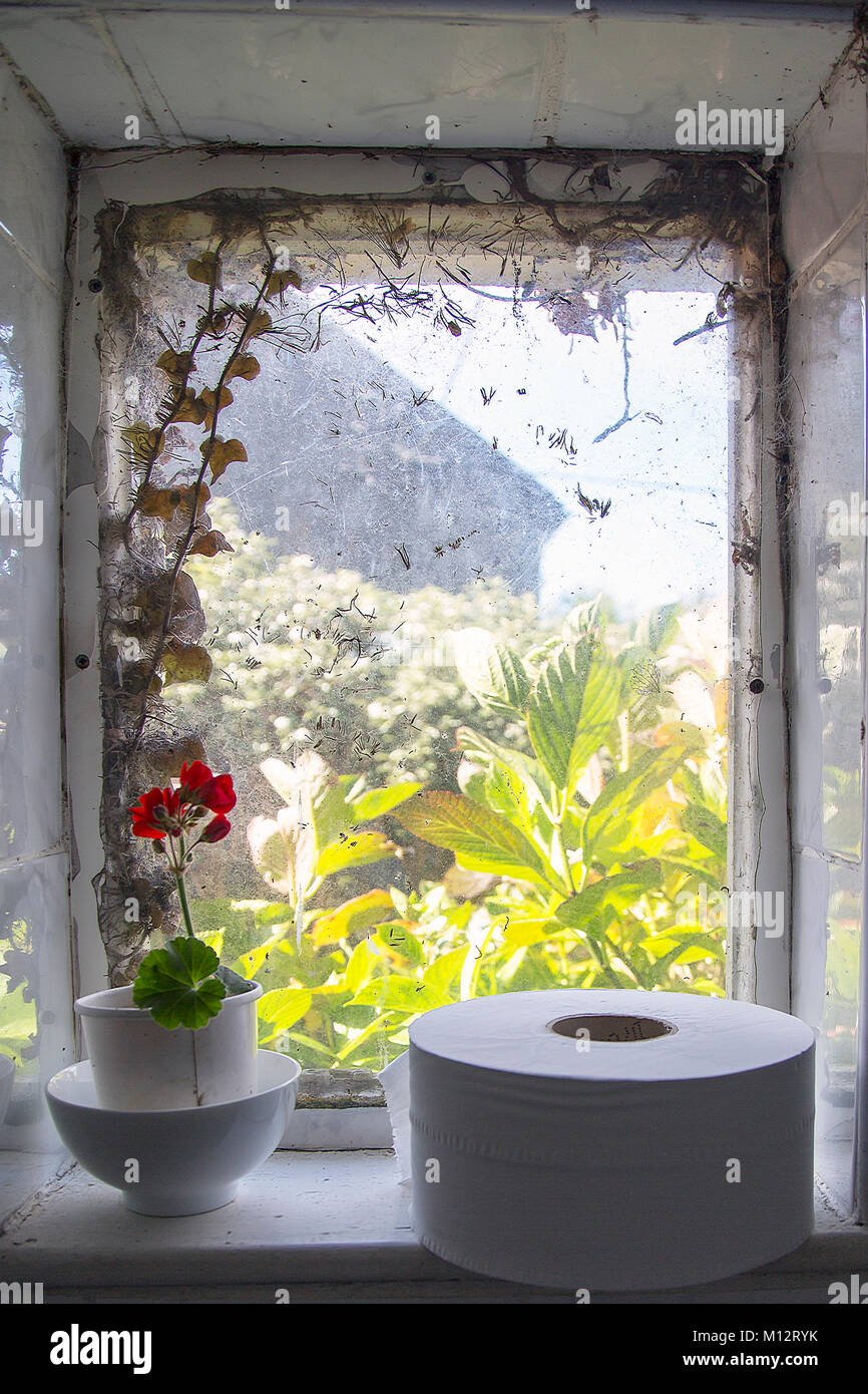 Jolly Roger gents toilet window Stock Photo - Alamy