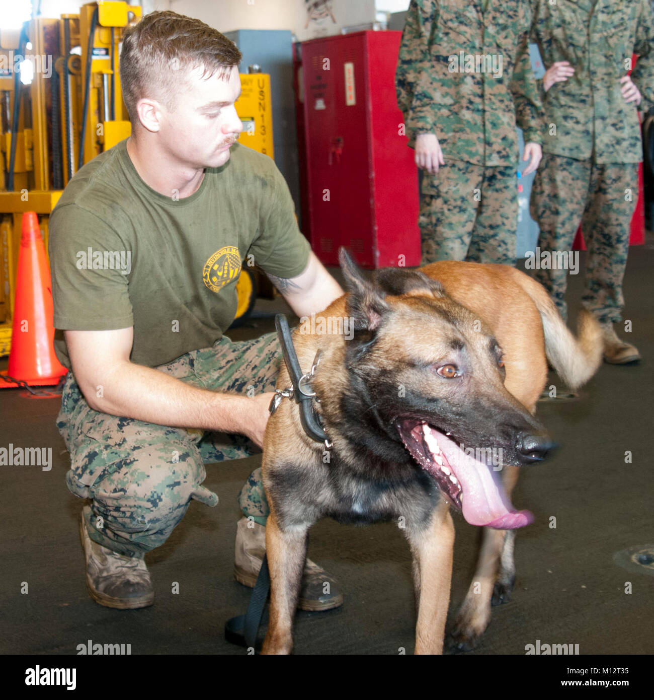 Lance solomon hi-res stock photography and images - Alamy